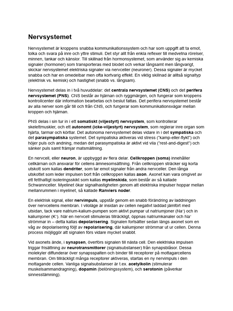 Nerv System Et | PDF