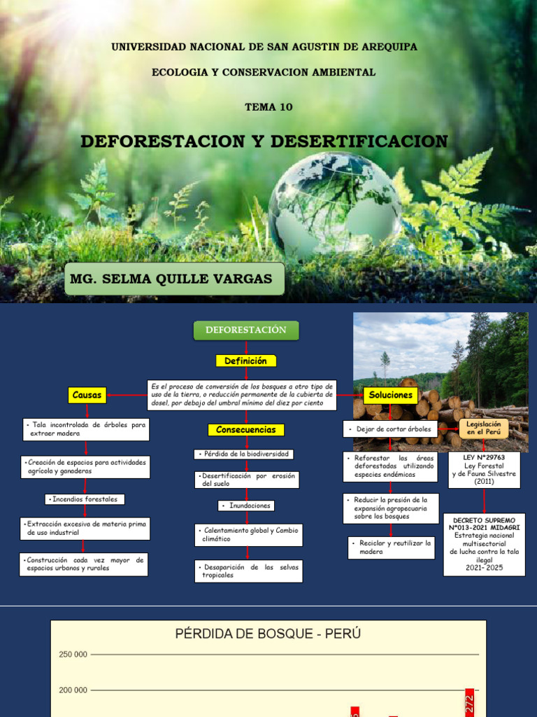 TEMA 10 DEFORESTACION Y DESERTIFICACION | PDF | Deforestación | Los bosques