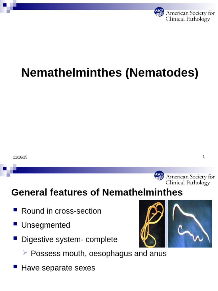 1. Intestinal Nematodes (1) | PDF | Nematode | Medical Specialties