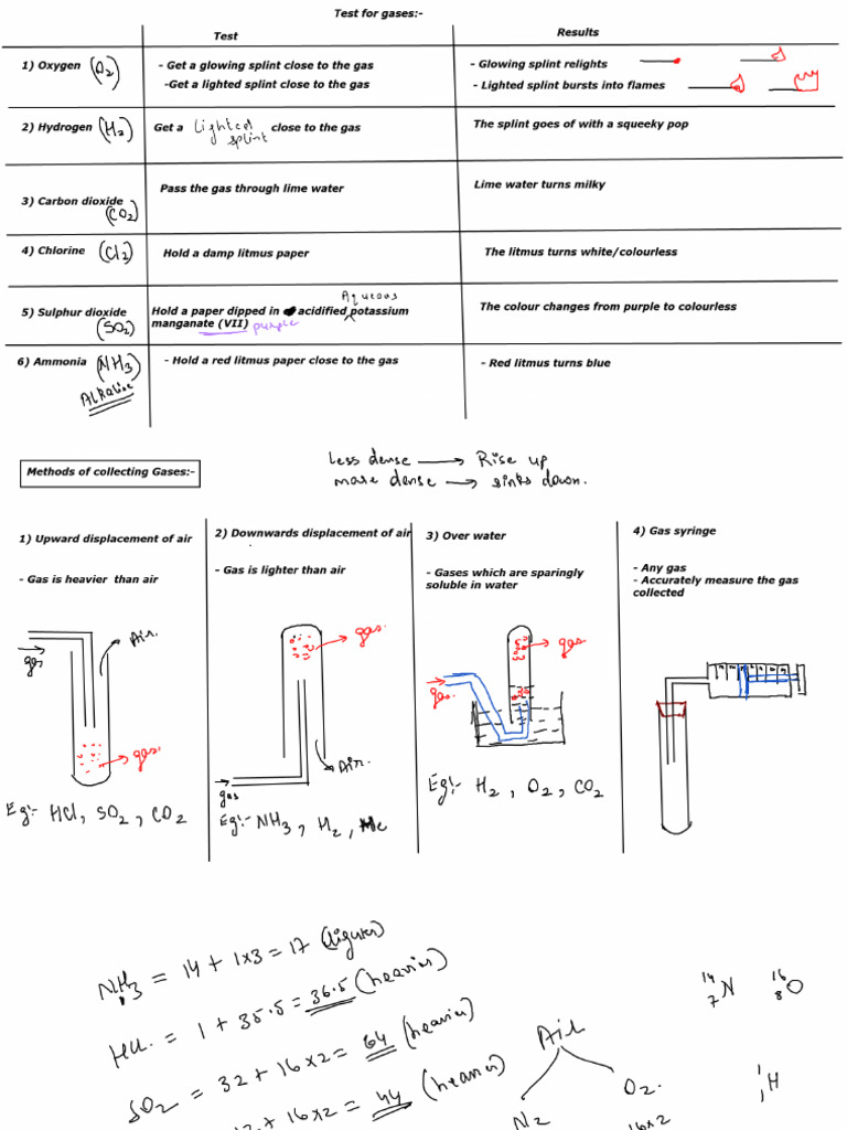 Test for Ions | PDF