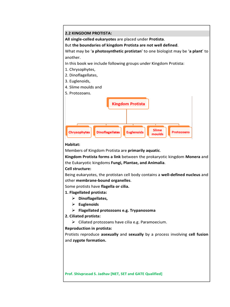 Kingdom Protista For AESL Students | PDF | Protozoa | Eukaryotes