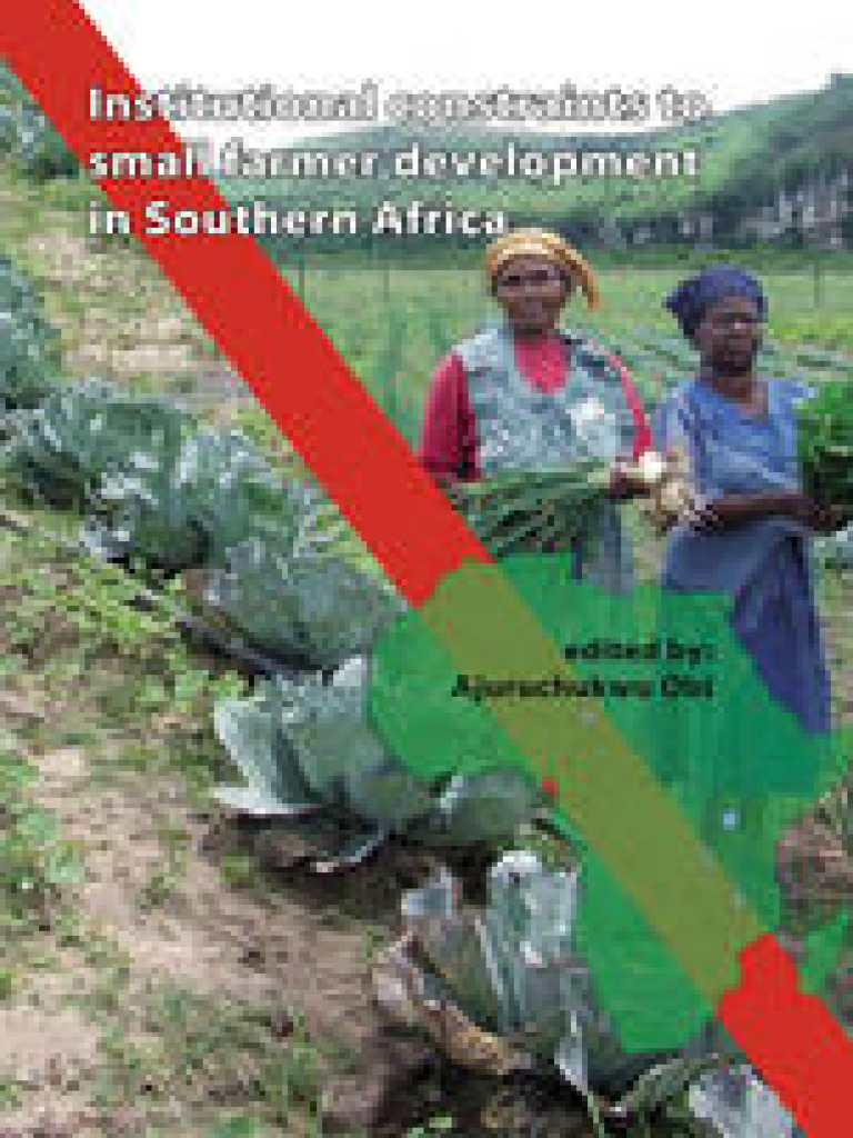 Institutional Constraints To Small Farmer Development in Southern Africa Ajuruchukwu Obi | PDF