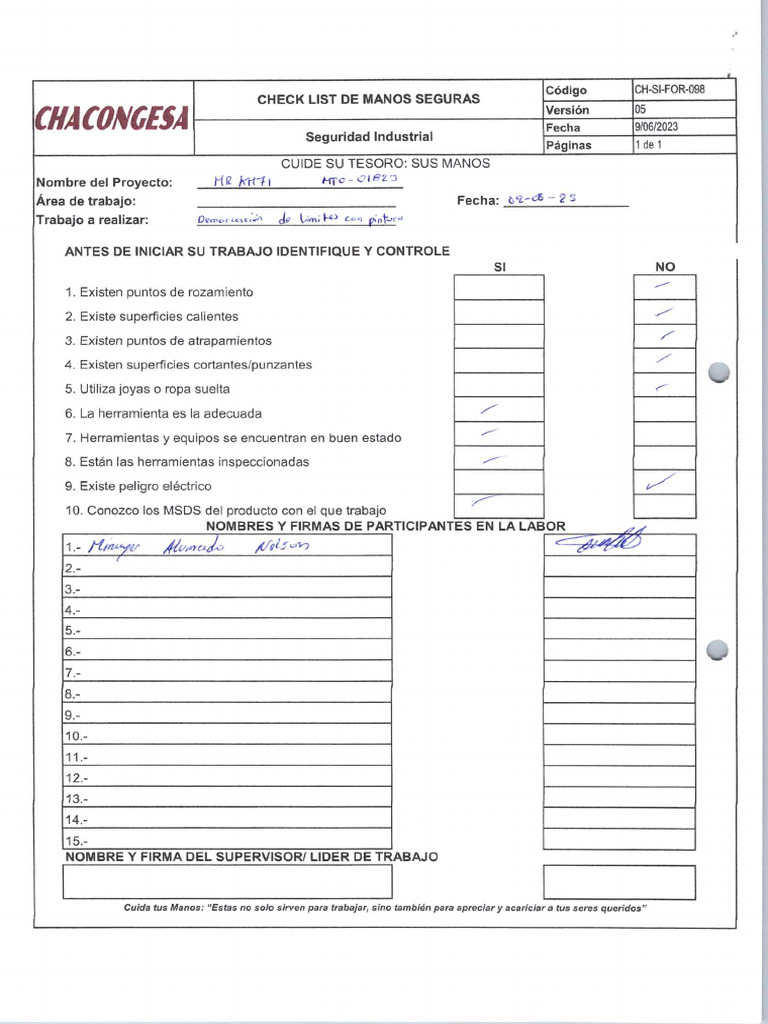 Check Lis Manos Seguras | PDF