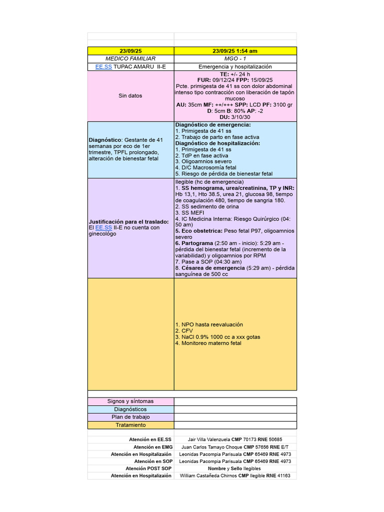 Línea de tiempo - Hoja 1 | PDF | Especialidades Medicas | Embarazo humano