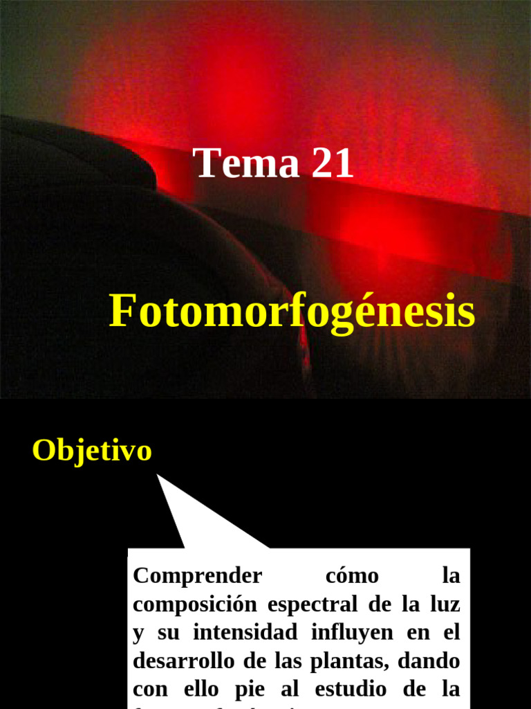 Tema 21. Fotomorfogeneis | PDF | Biología
