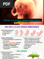 700775228 Cuadro de Musculos Cara y Cuello | PDF