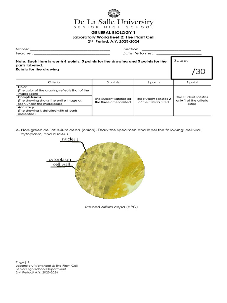 Annotated-STEM12F1 Group4 Activity02 | PDF | Cell (Biology) | Cell Anatomy