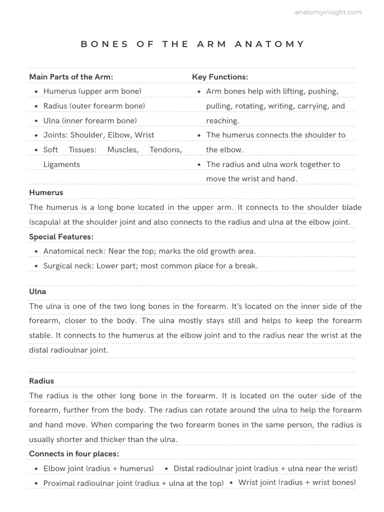 Bones of The Arm Anatomy | PDF