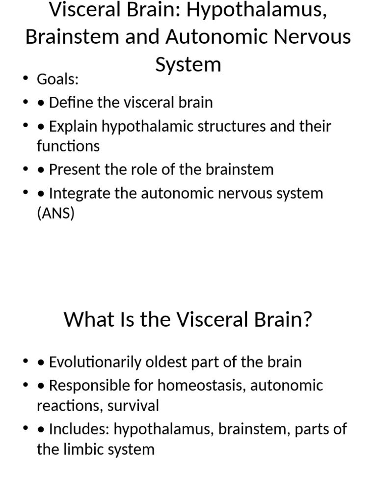 Visceral Brain 30slides English | PDF | Hypothalamus | Autonomic ...