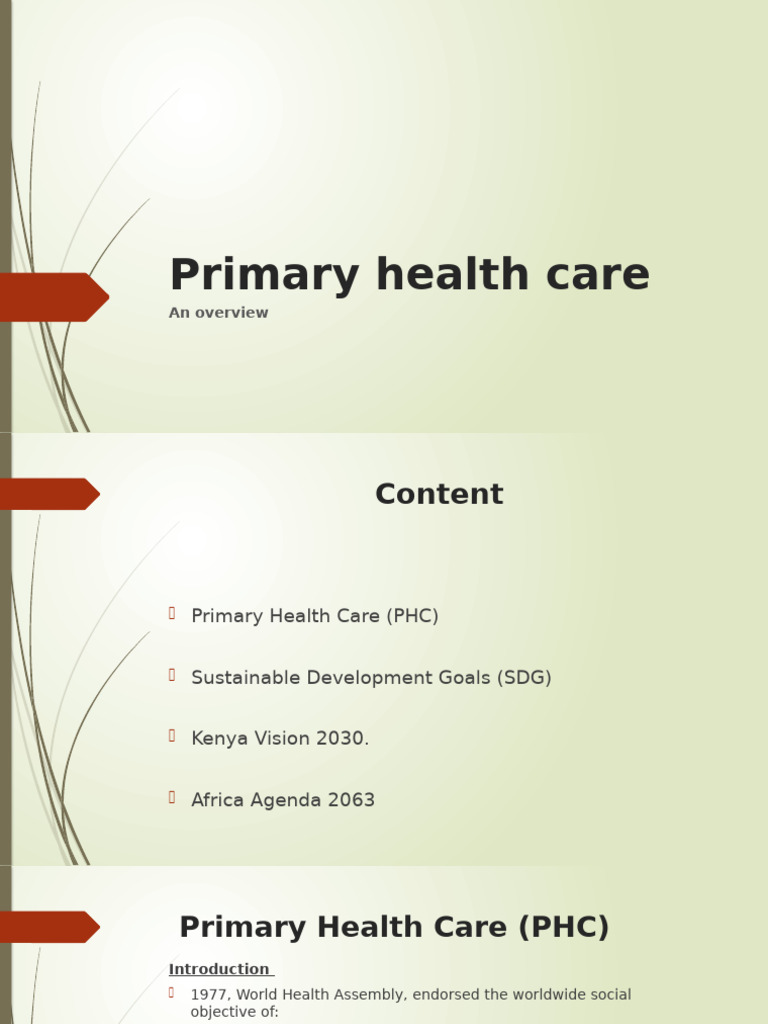 Primary Health Care Overview and Principles | PDF | Health Care ...