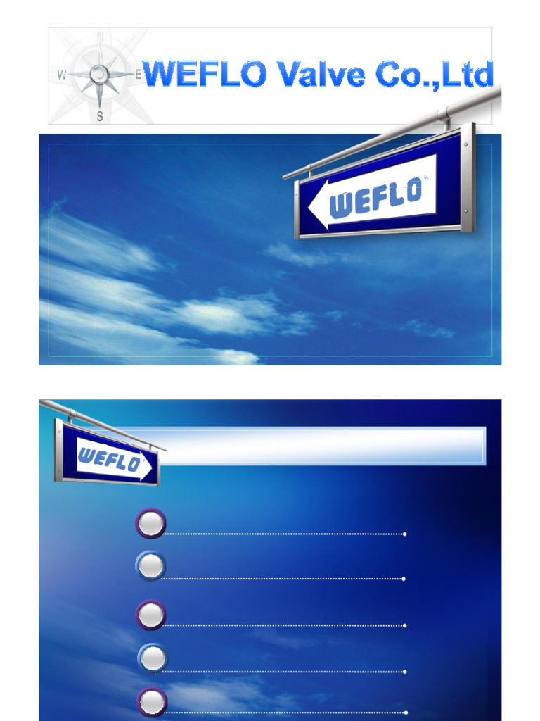 WEFLO Profile | PDF | Valve | Hydraulics
