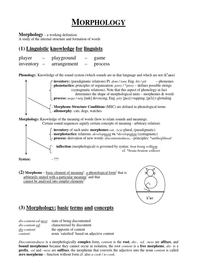 06 Morphology Class Handout | PDF | Morphology (Linguistics) | Semantic ...