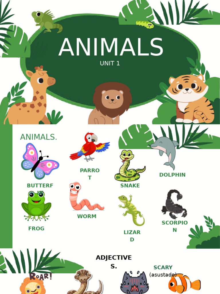 Unit 1 - Animals | PDF