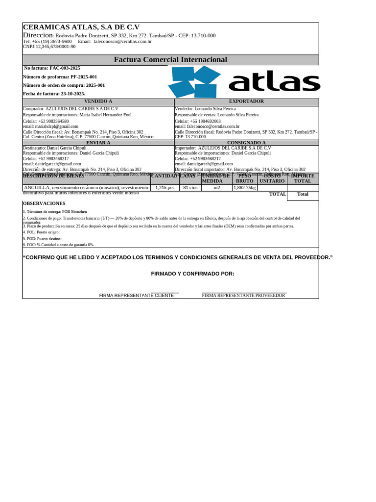 Formato Commercial Invoice - Consulta Mipyme MX | PDF | Economias