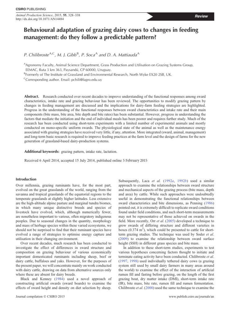Grazing Behavior Adaptation in Dairy Cows | PDF | Dairy Cattle | Cattle
