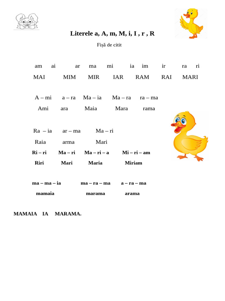 Fisa de Citit A M I U R | PDF