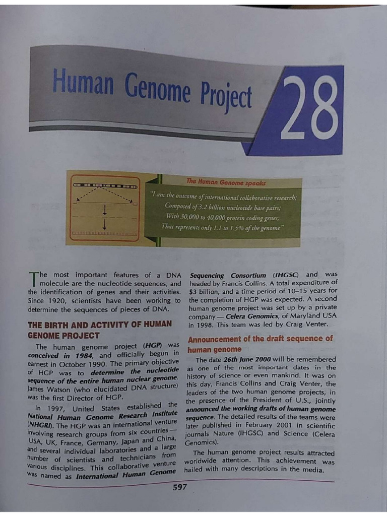 Human Genome Project | PDF | Human Genome | Genome