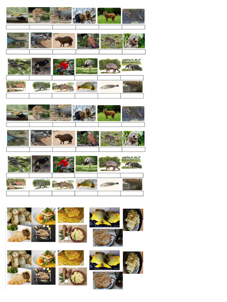 Animales y Comidas Del Nea | PDF
