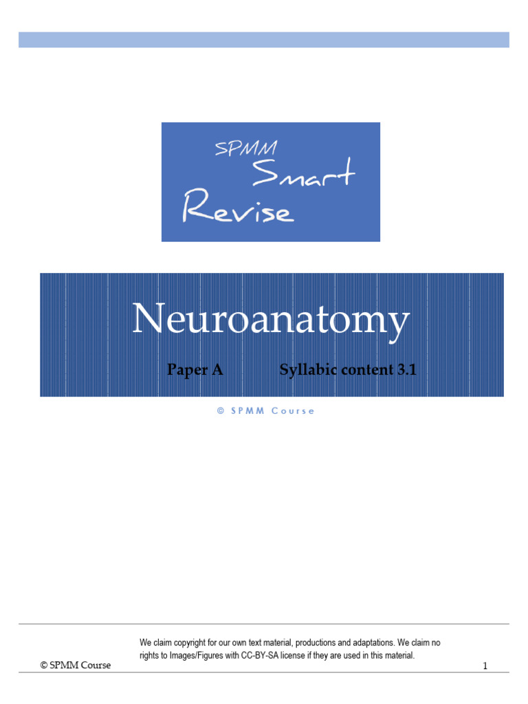 Neuroanatomy Study Notes for MRCPsych | PDF