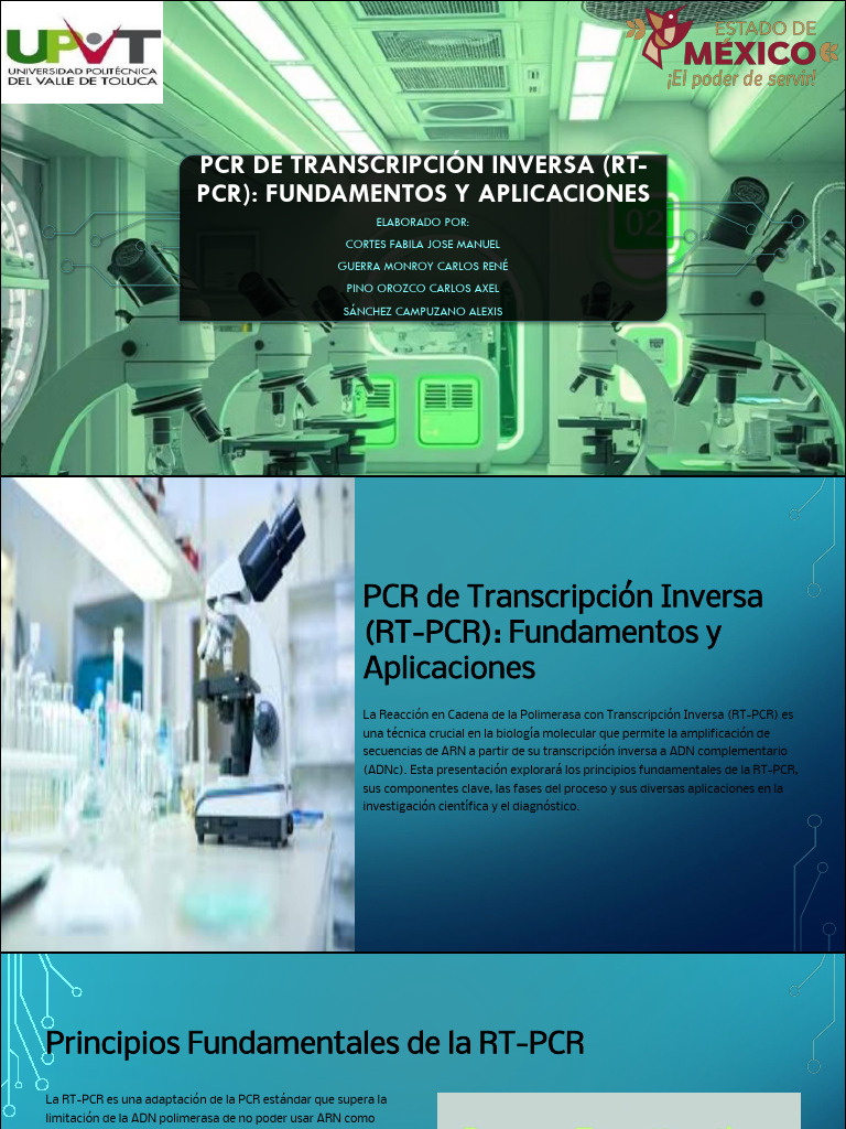 Fundamentos y Aplicaciones de RT-PCR | PDF | Reacción en cadena de la ...