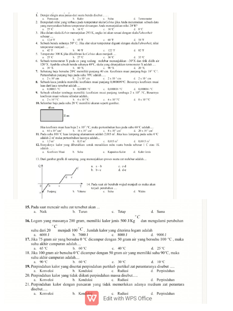 Document WPS Office | PDF