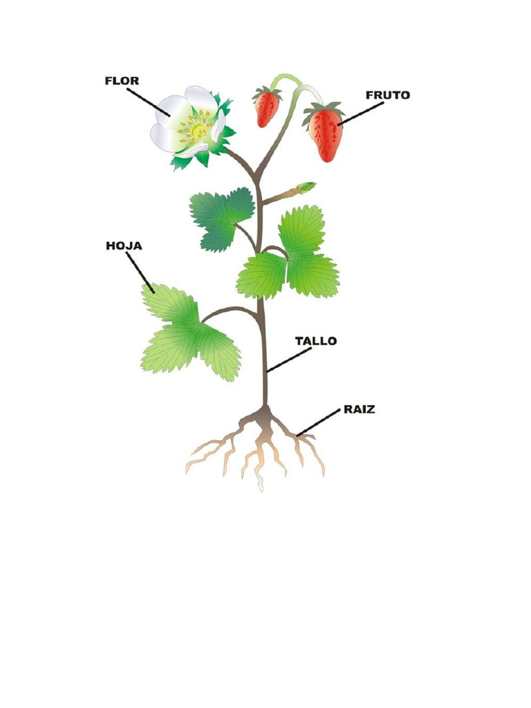 [649 a. m., 10102024] ?.adri Título La sombra del silencio ...