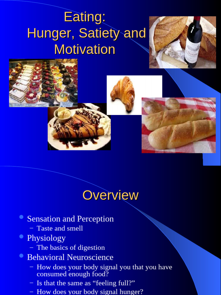 Understanding Hunger and Satiety Mechanisms | PDF | Reward System | Eating