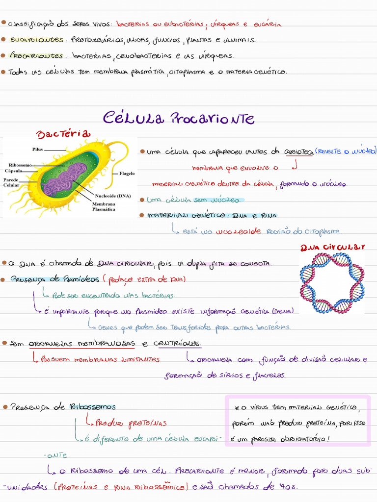 Célula Procarionte e Célula Eucarionte_250513_004446 | PDF