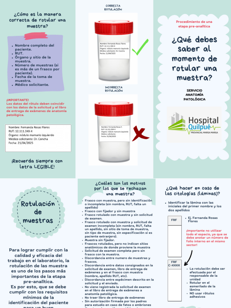 Guía para la correcta rotulación de muestras | PDF | Medicina ...
