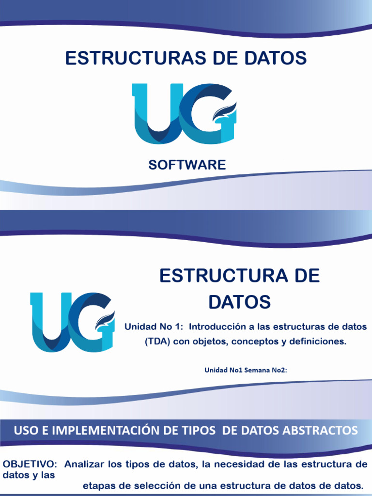 2.1.tipos de Datos y Estructura de Datos | PDF | Estructura de datos | Matriz (Matemáticas)