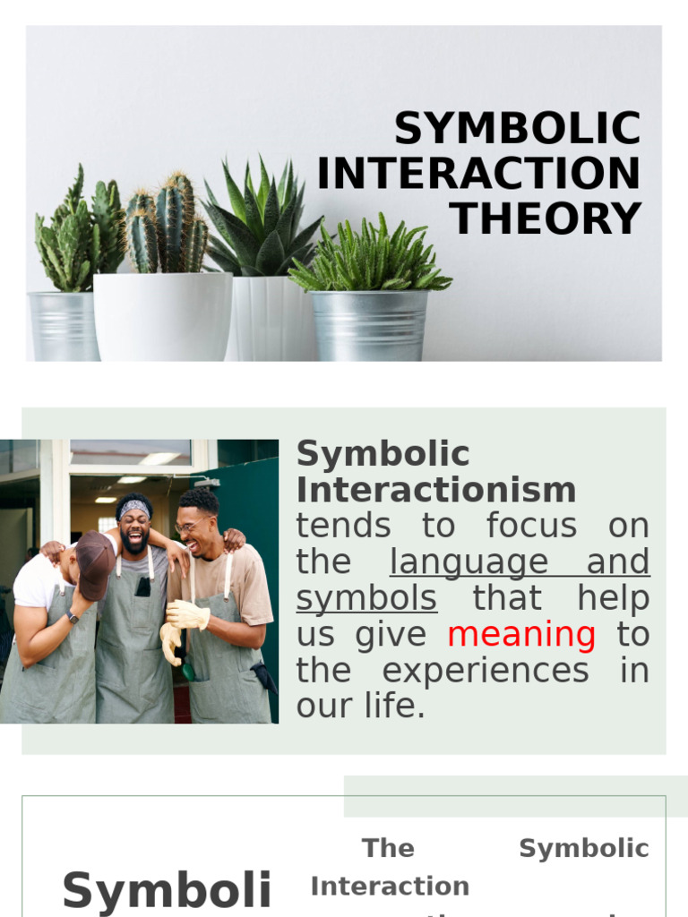 Symbolic Interaction | PDF | Human Communication | Behavioural Sciences