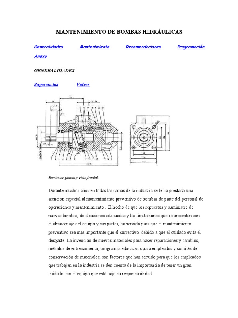 Mantenimiento de Bombas Hidráulicas | PDF | Bomba | Planificación