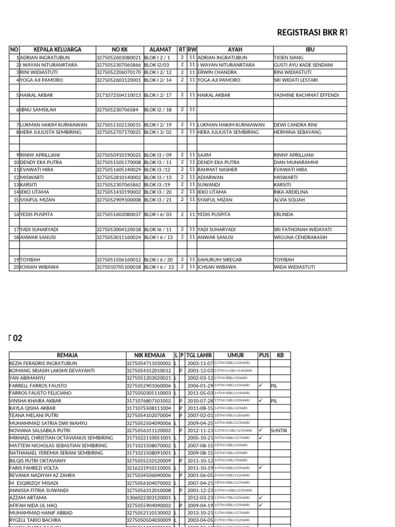 Registrasi BKR RT 02 dan RT 05 | PDF