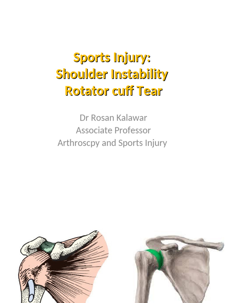 Shoulder Instability RPSK | PDF | Shoulder | Musculoskeletal System