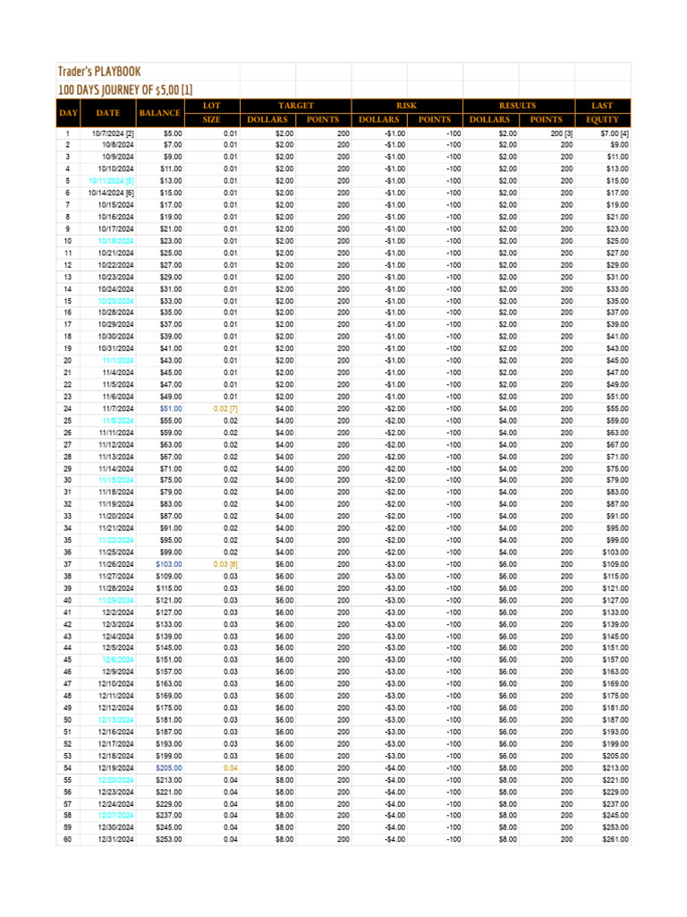 100-Day Trading Journey Playbook | PDF