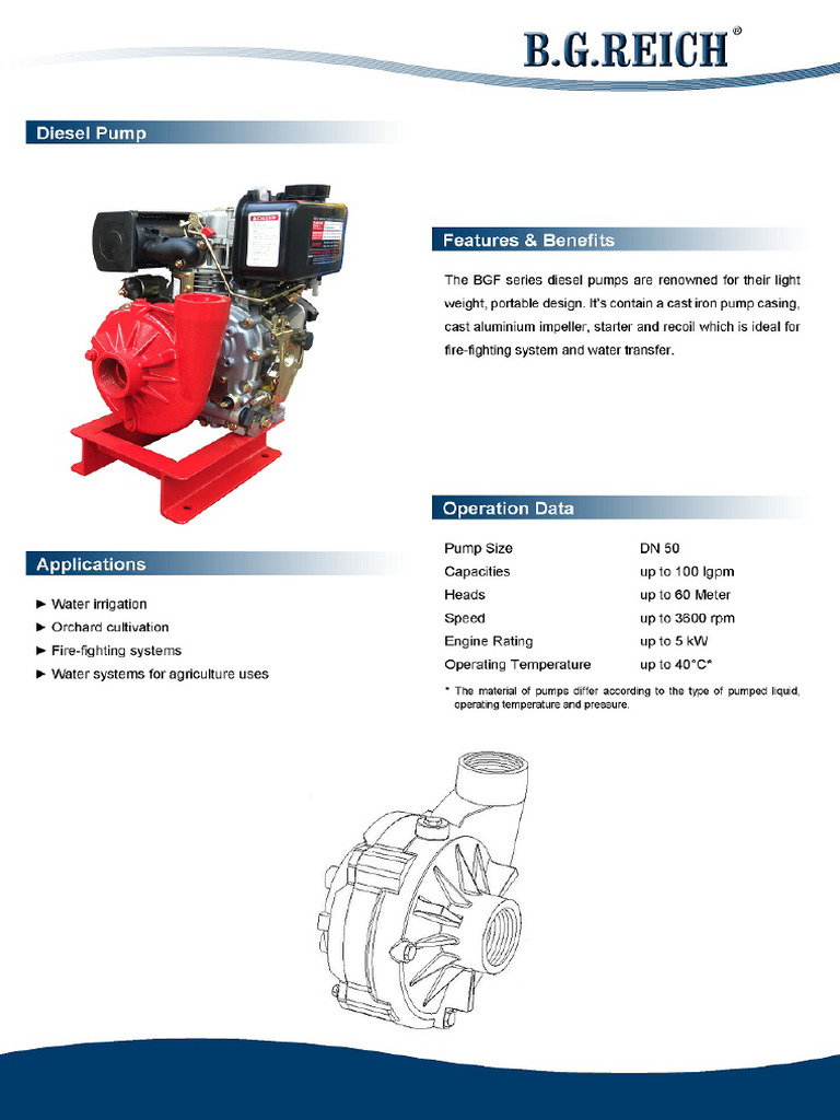 B.G.Reich - BGF (E) | PDF