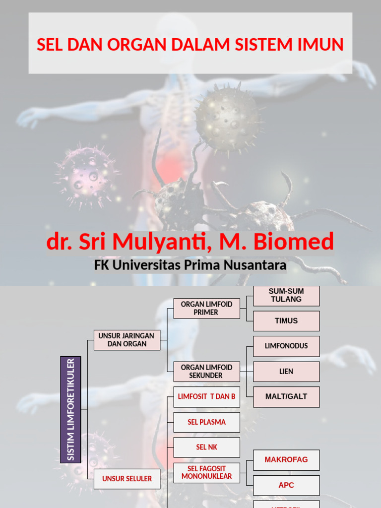 Sel Dan Organ Dalam Sistem Imun | PDF