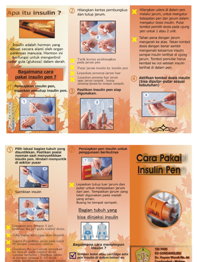 Leaflet Cara Pakai Insulin Pen | PDF