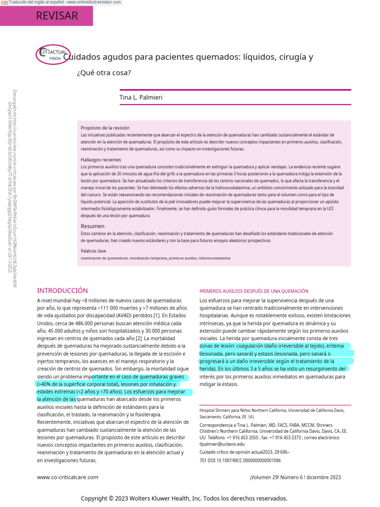 Acute Care For Burn Patients - Fluids, Surgery, and What Else-.En - Es ...