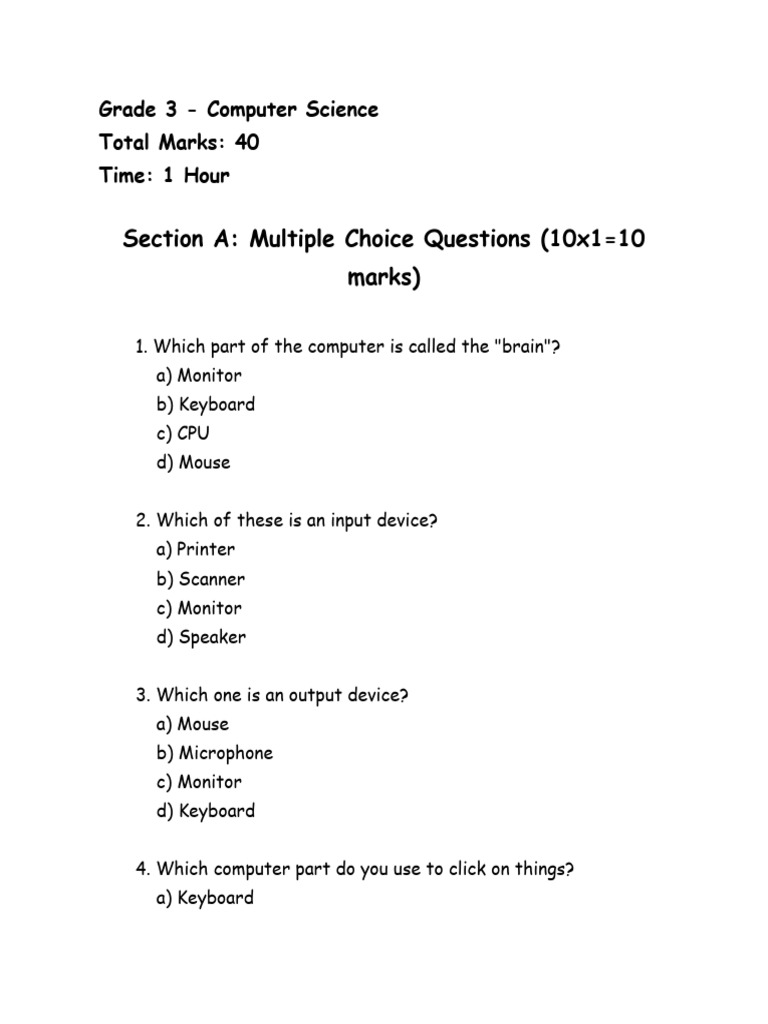 Grade 3 Computer Science Quiz Guide | PDF