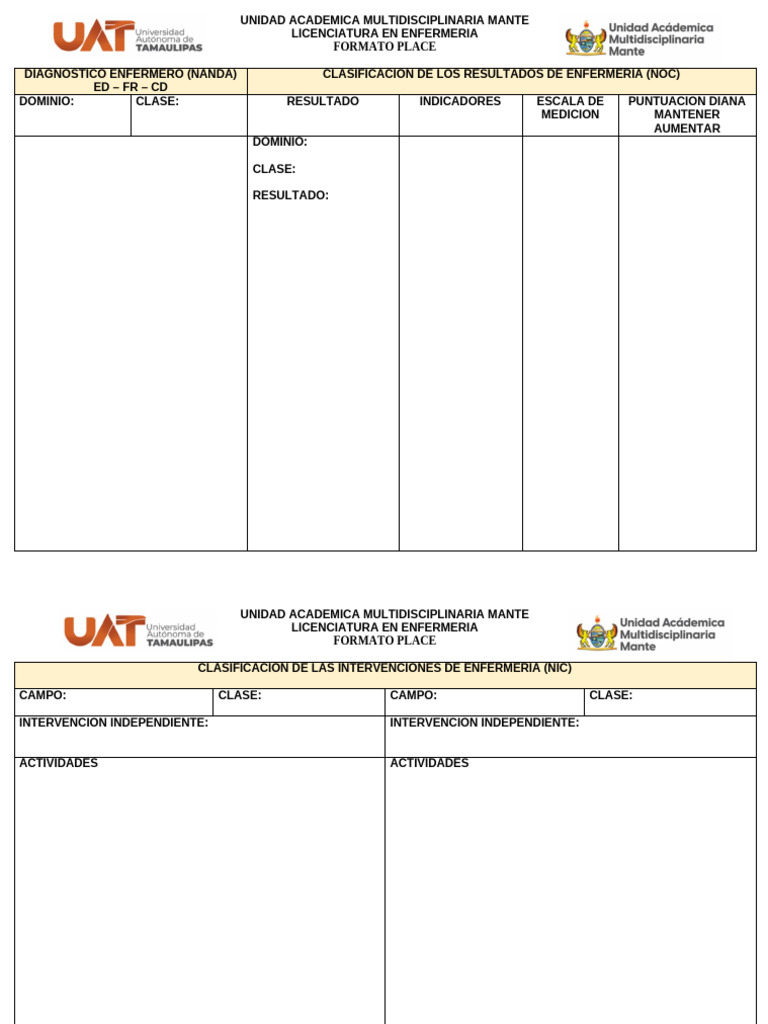 Formato Place | PDF | Enfermería | Ética profesional