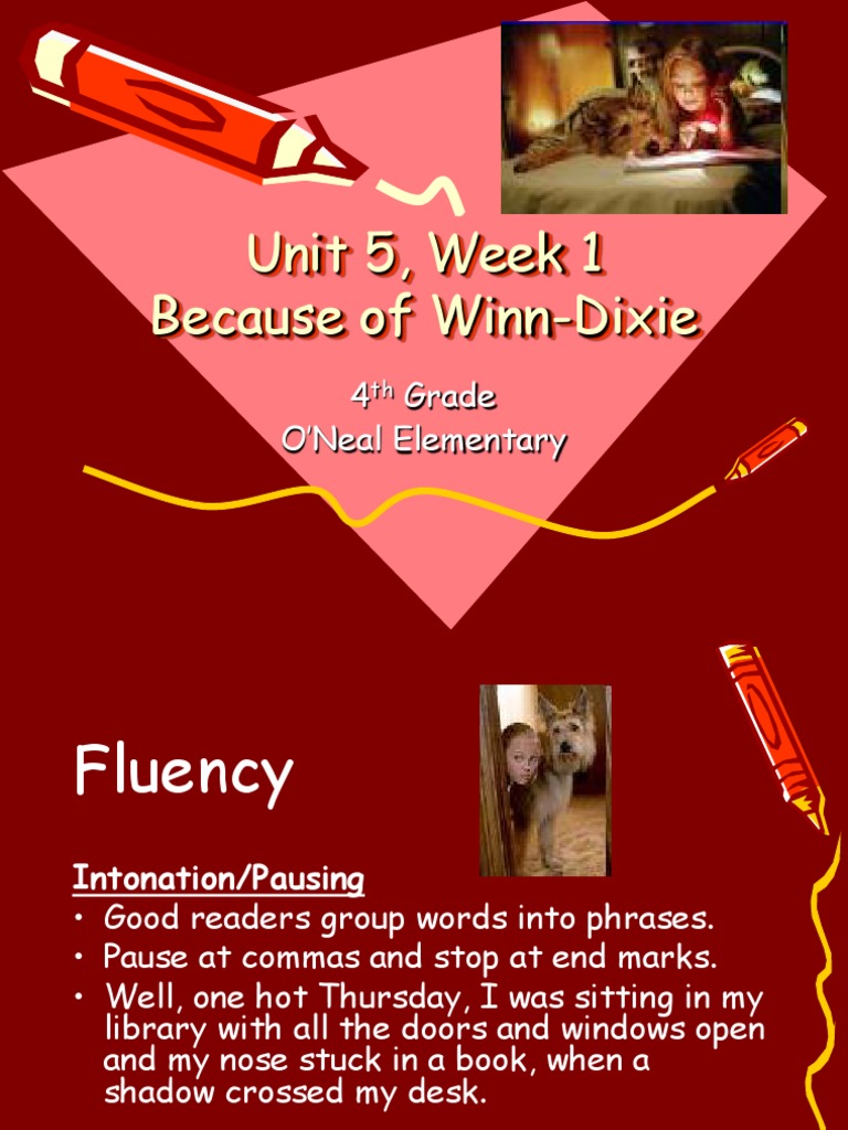 Because of Winn Dixie 1 | PDF | Word | Idiom