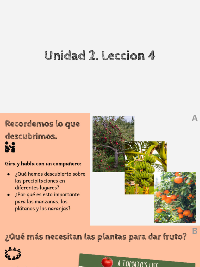 UNIDAD 2. Leccion 4 | PDF