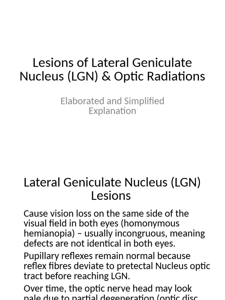 LGN and Optic Radiations Simplified | PDF