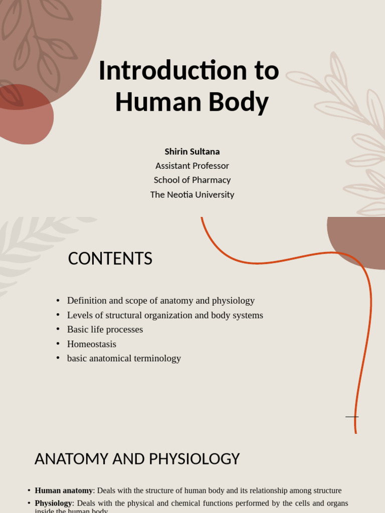 Overview of Human Anatomy and Physiology | PDF | Human Body | Tissue ...