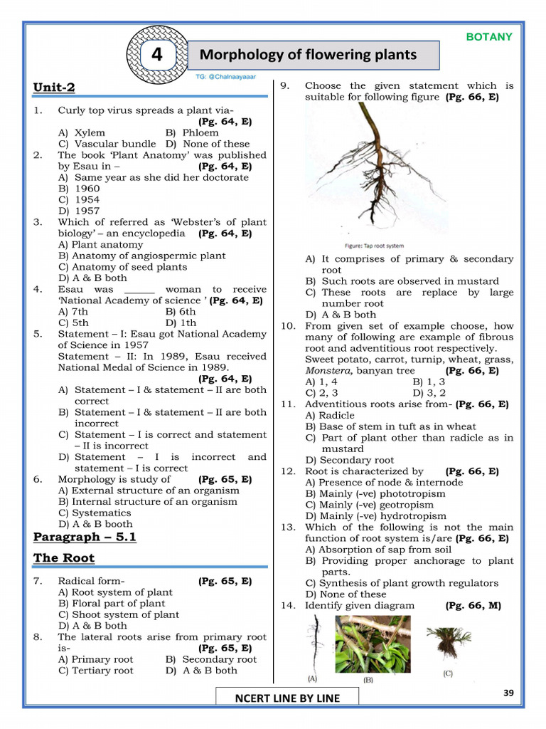 Morphology of Flowering Plants Questions Practice For Neet 2026 | PDF