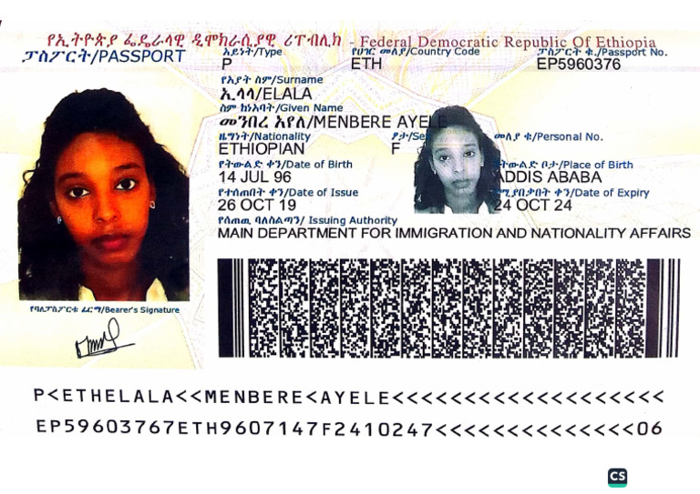 Bemni Passport | PDF