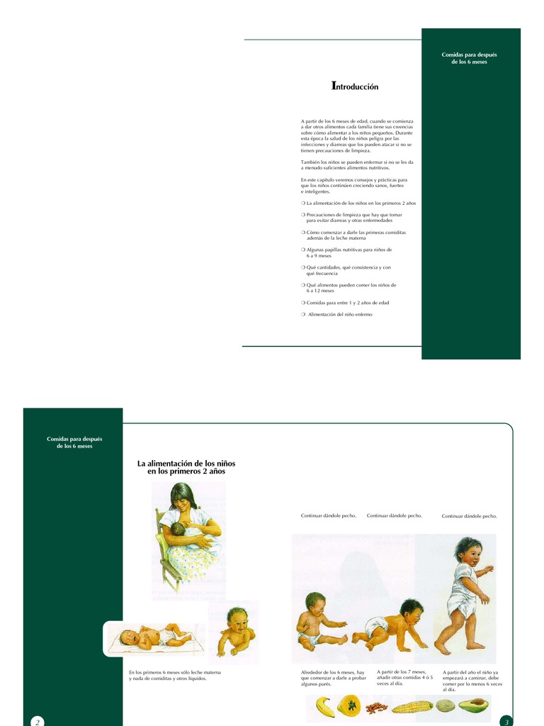 Guia de Alimentacion para Lactantes de 6 Meses y Mas | PDF | Cuchara ...