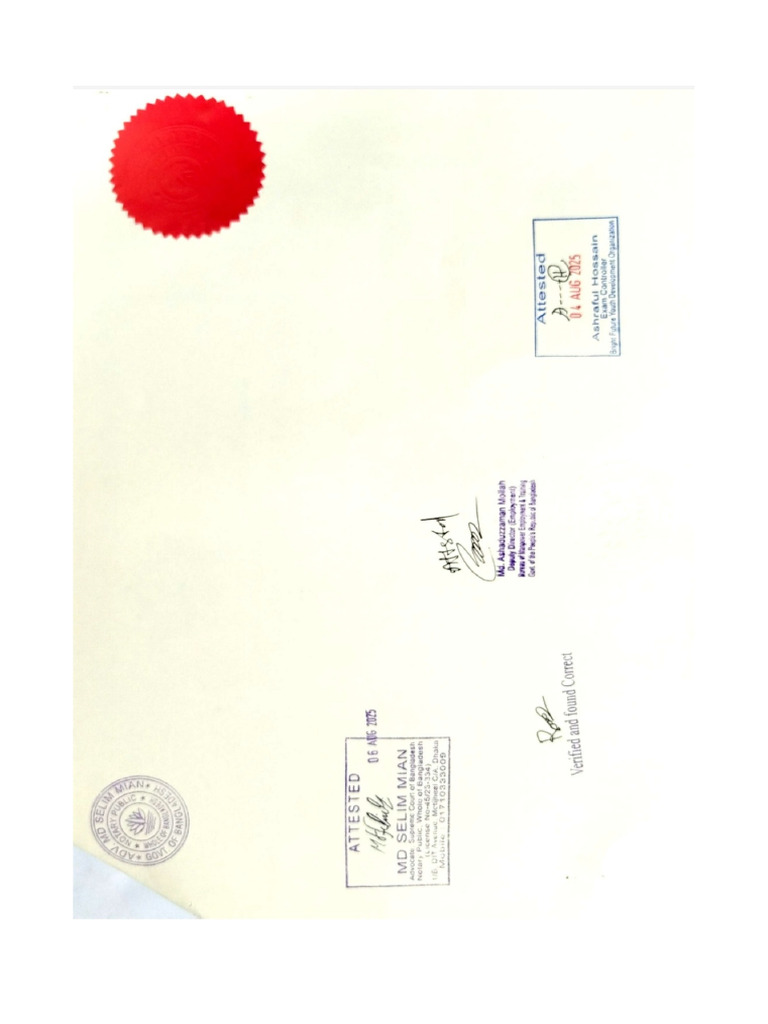Belarus Work Visa.2 | PDF