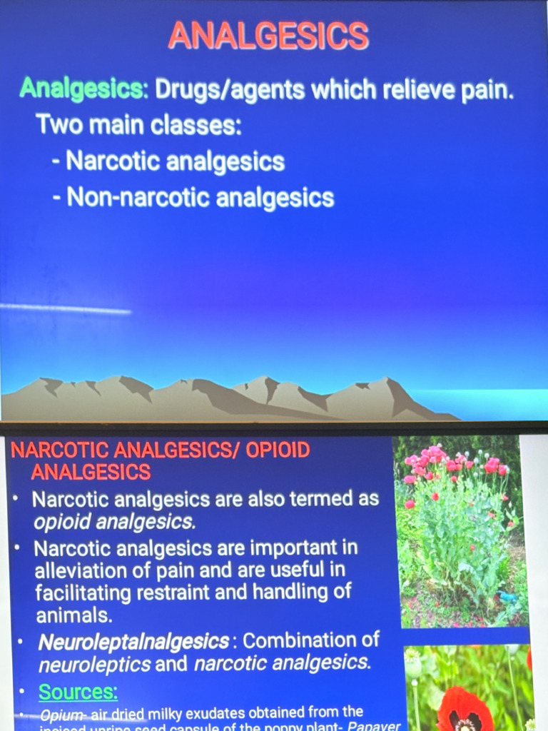 Analgesics | PDF